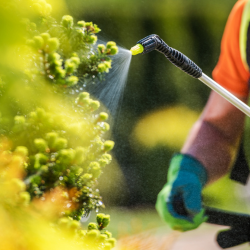 Asian Crop Care