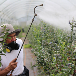 Asian Crop Care
